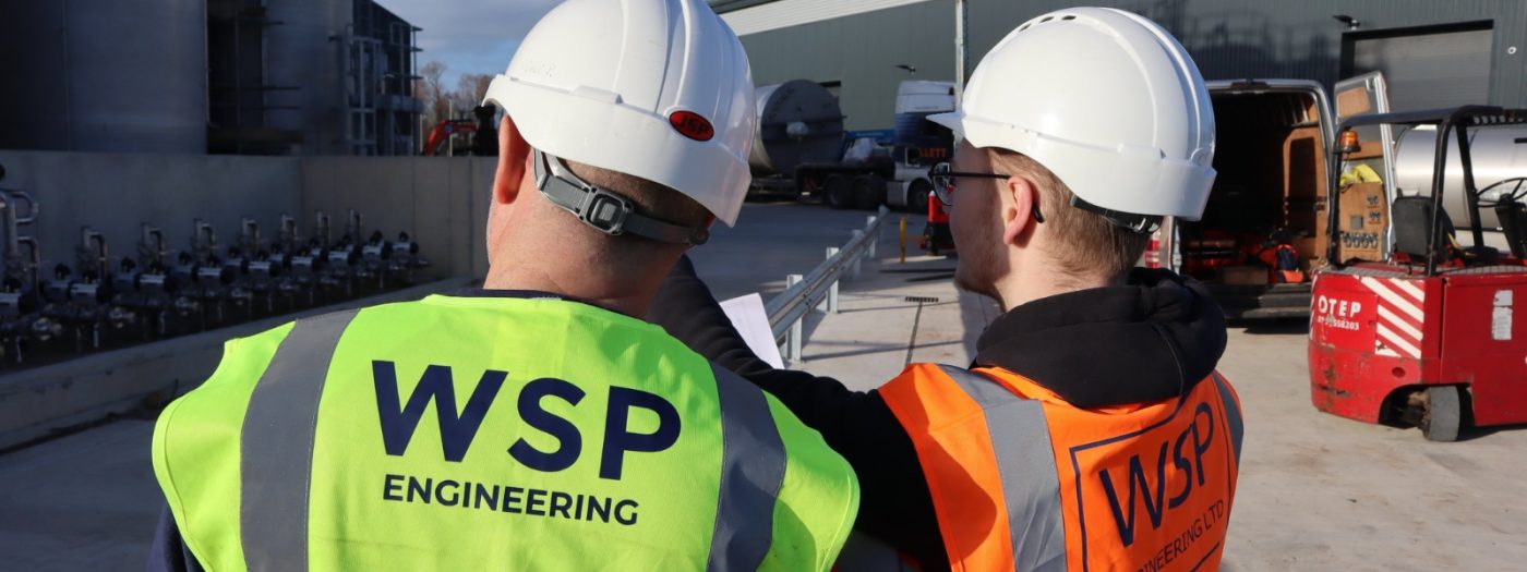 Inzicht in Expertise Nico Pleeging - WSP Nederland - Meussen Executive ...